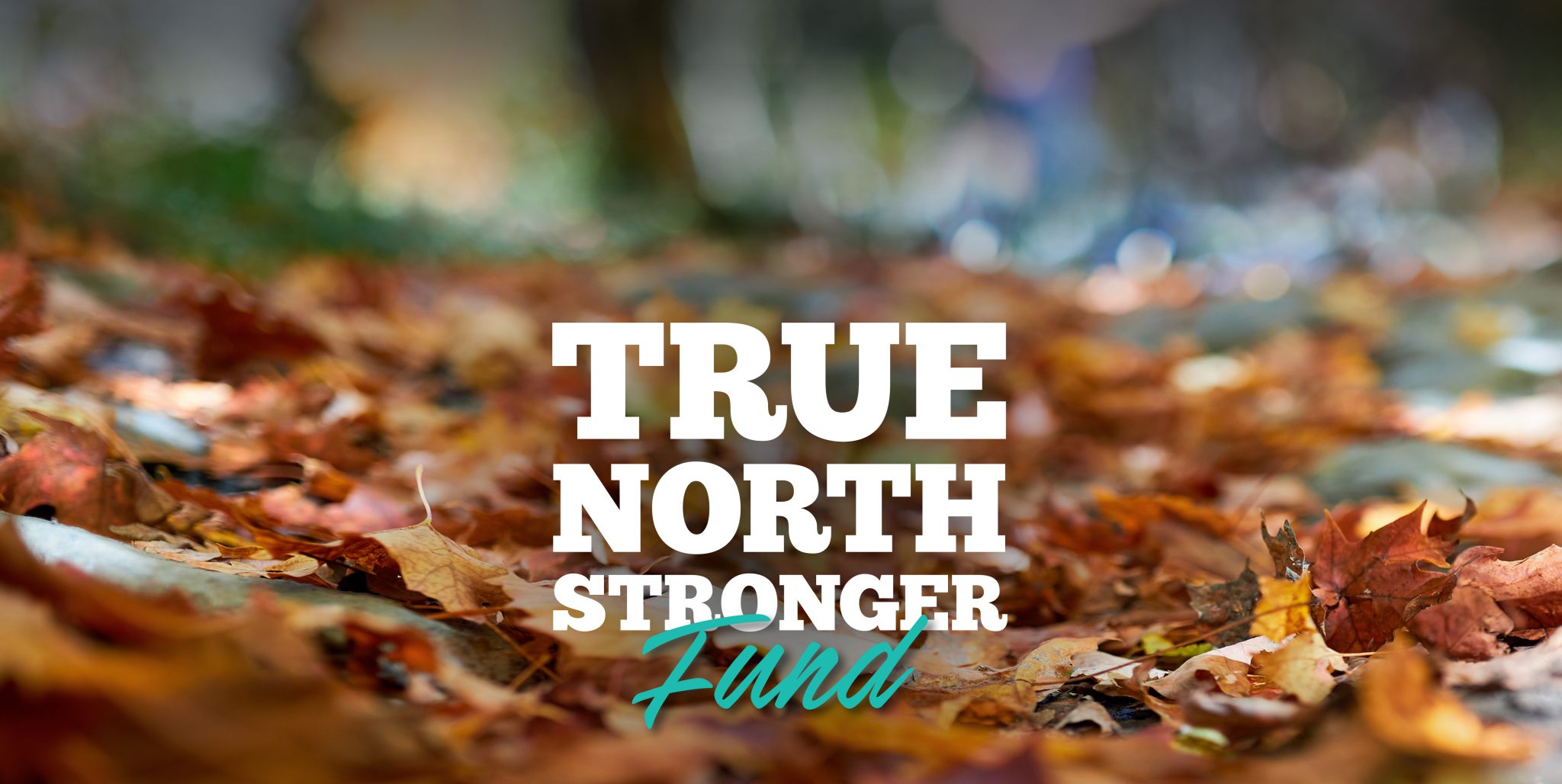 Northern Credit Union launches their True North Stronger Fund in ...