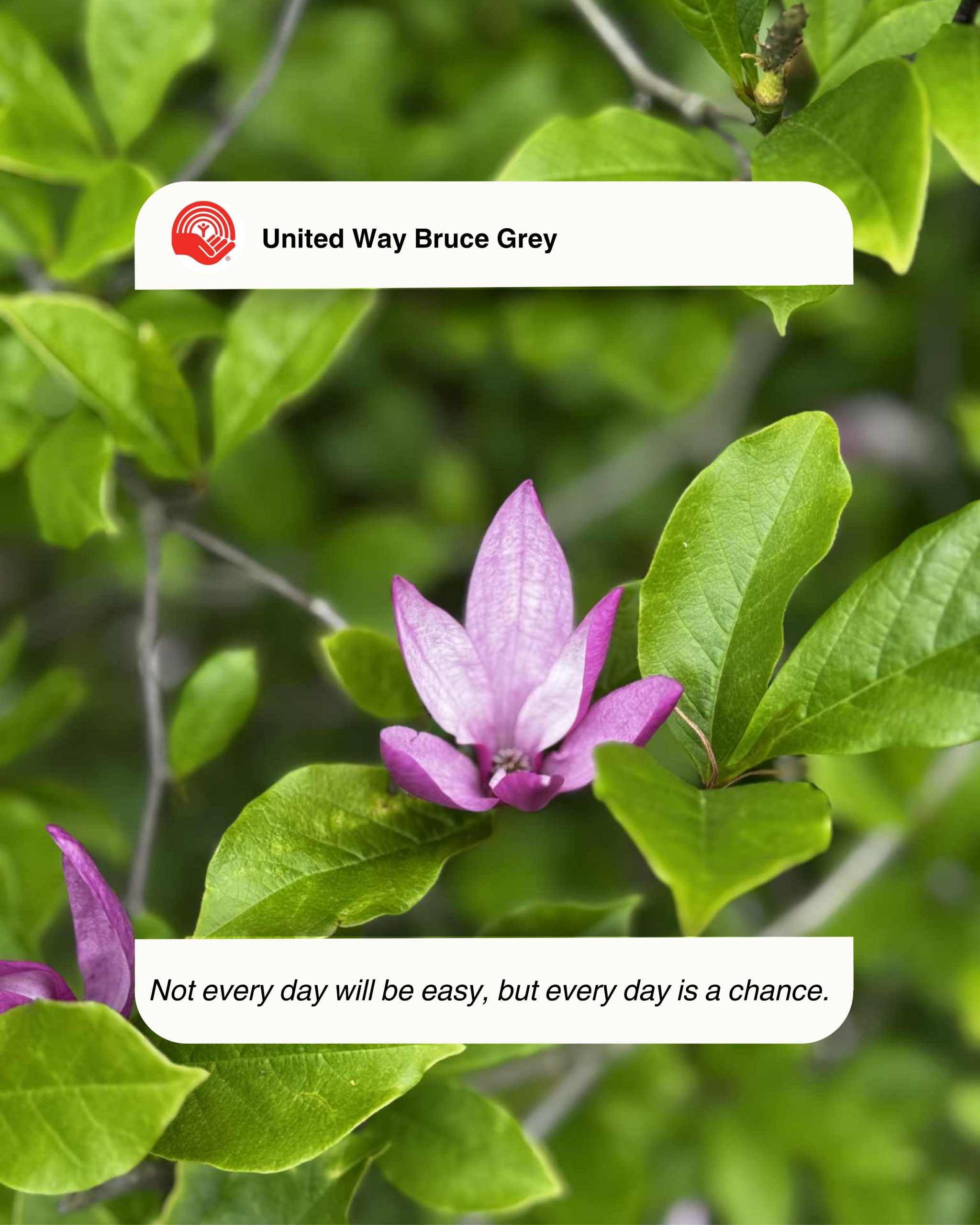 #MondayMotivation: Every Day Is a Chance - United Way of Bruce Grey